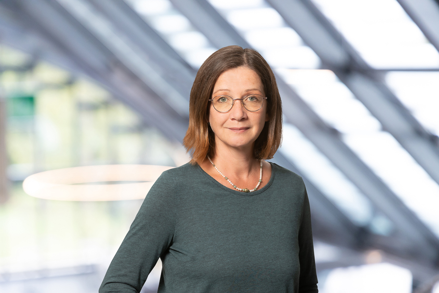 Marketing & Sales studieren Studienangebot | FH CAMPUS 02